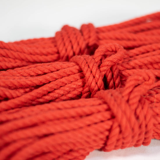 Anatomie Rope Shop
